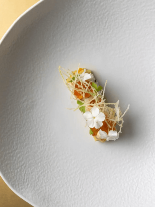 Michelin Stars Portugal 2026: Full List of Michelin Star Restaurants ...